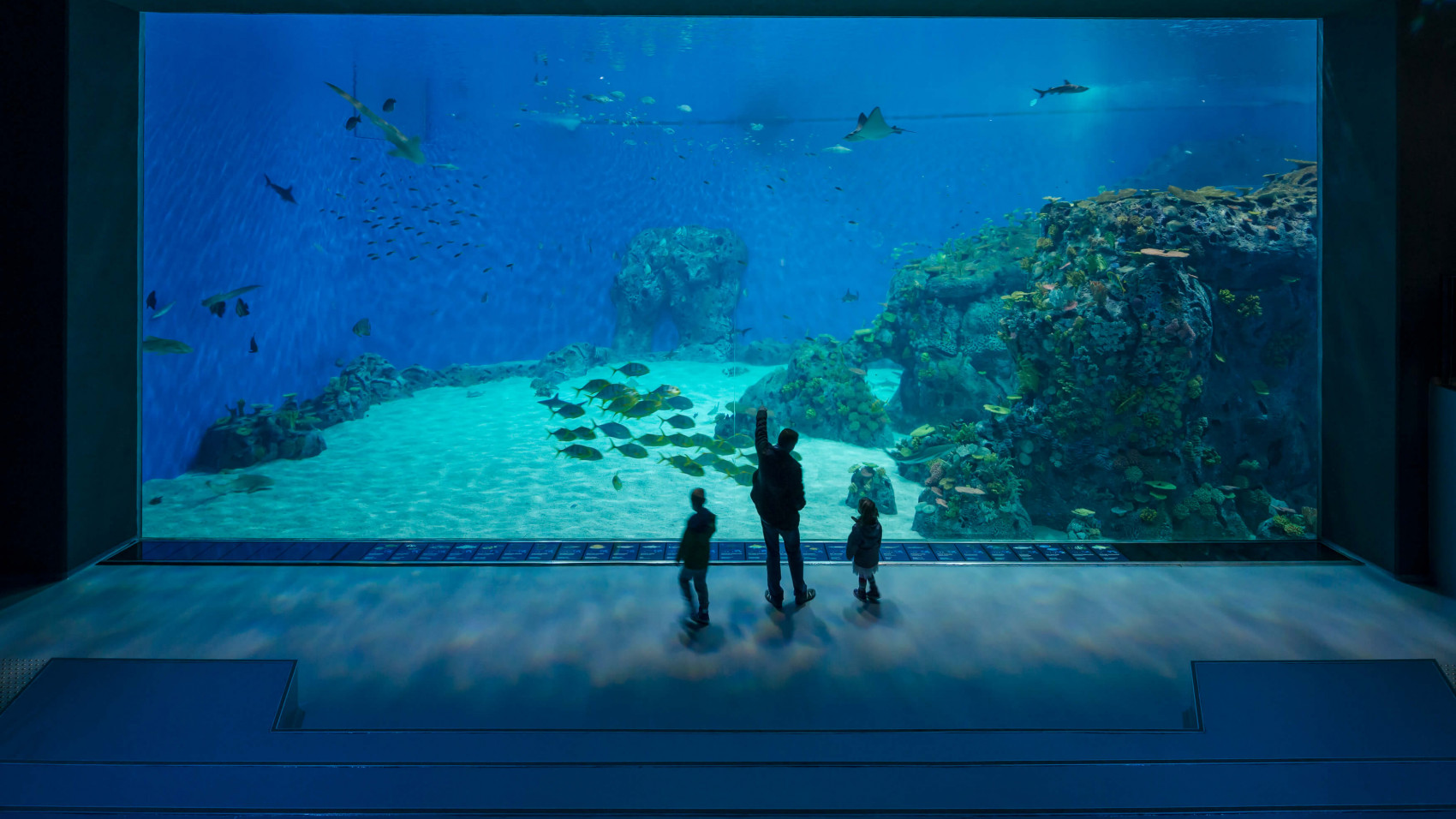 Ethical profile | Den Blå Planet