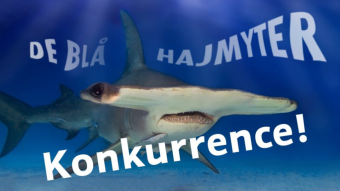 Fisk på hjernen – Hjernen i fisk | Den Blå Planet