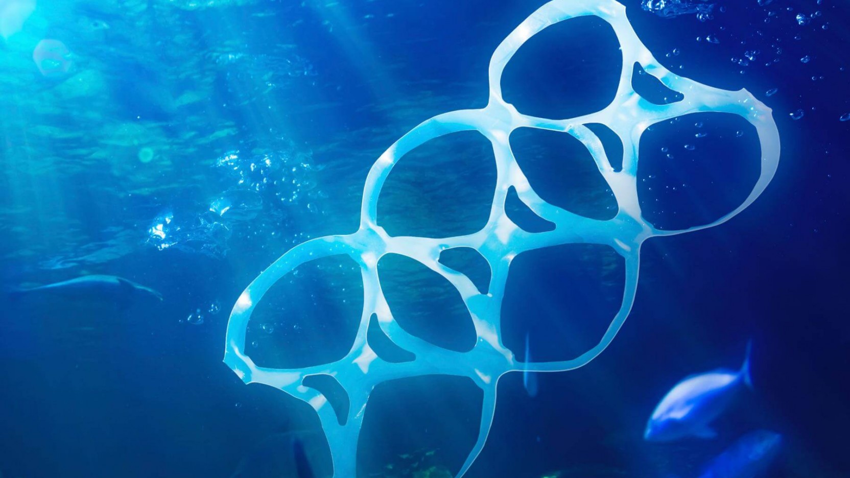 Science and nature conservancy | Den Blå Planet